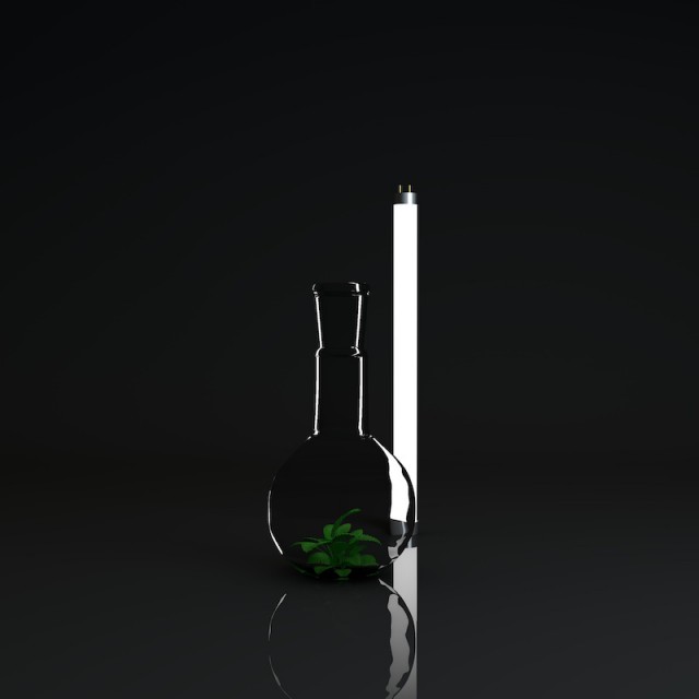 Special Interview / Seiho (talk about “apostrophy”) - Spincoaster (スピンコースター)