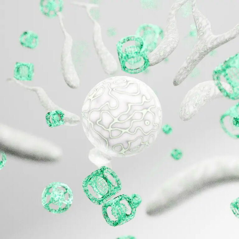 Interview / Yunomi - Spincoaster (スピンコースター)