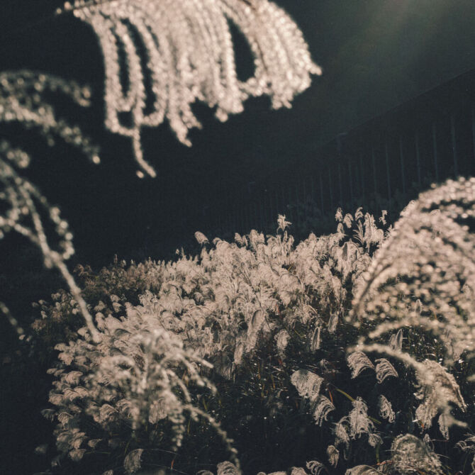 Leo IwamuraとShinyAppLeによるビートメイカー・ユニットOVERFALL、1stアルバム発表