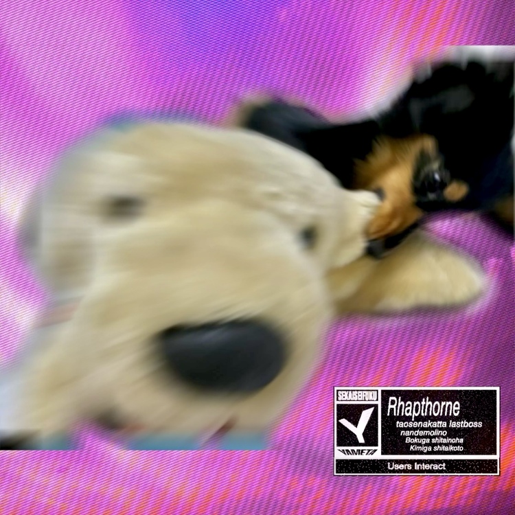 マルチクリエイター・Yameta、散歩中に見た柴犬から着想を得た新曲「Rhapthorne」リリース